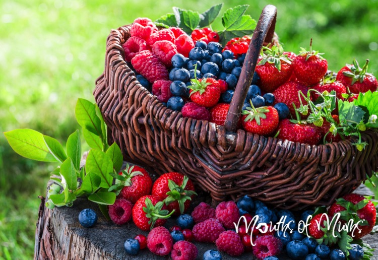The healing powers of berries - Mouths of Mums