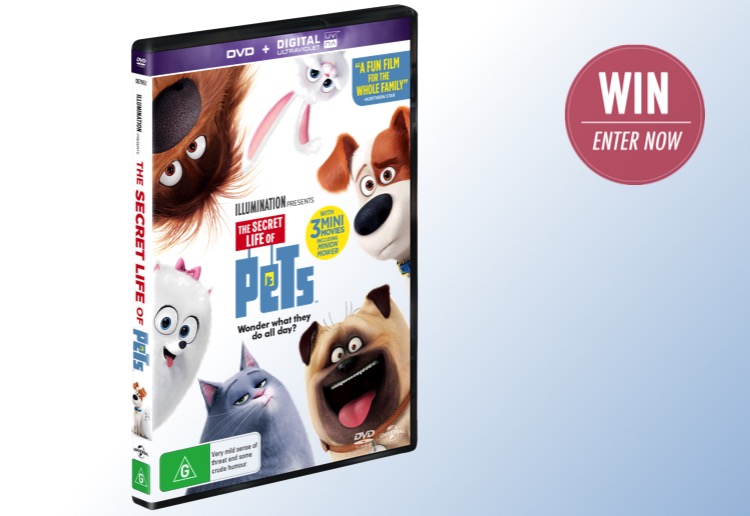 WIN 1 of 20 DVD copies of The Secret Life of Pets - Competition